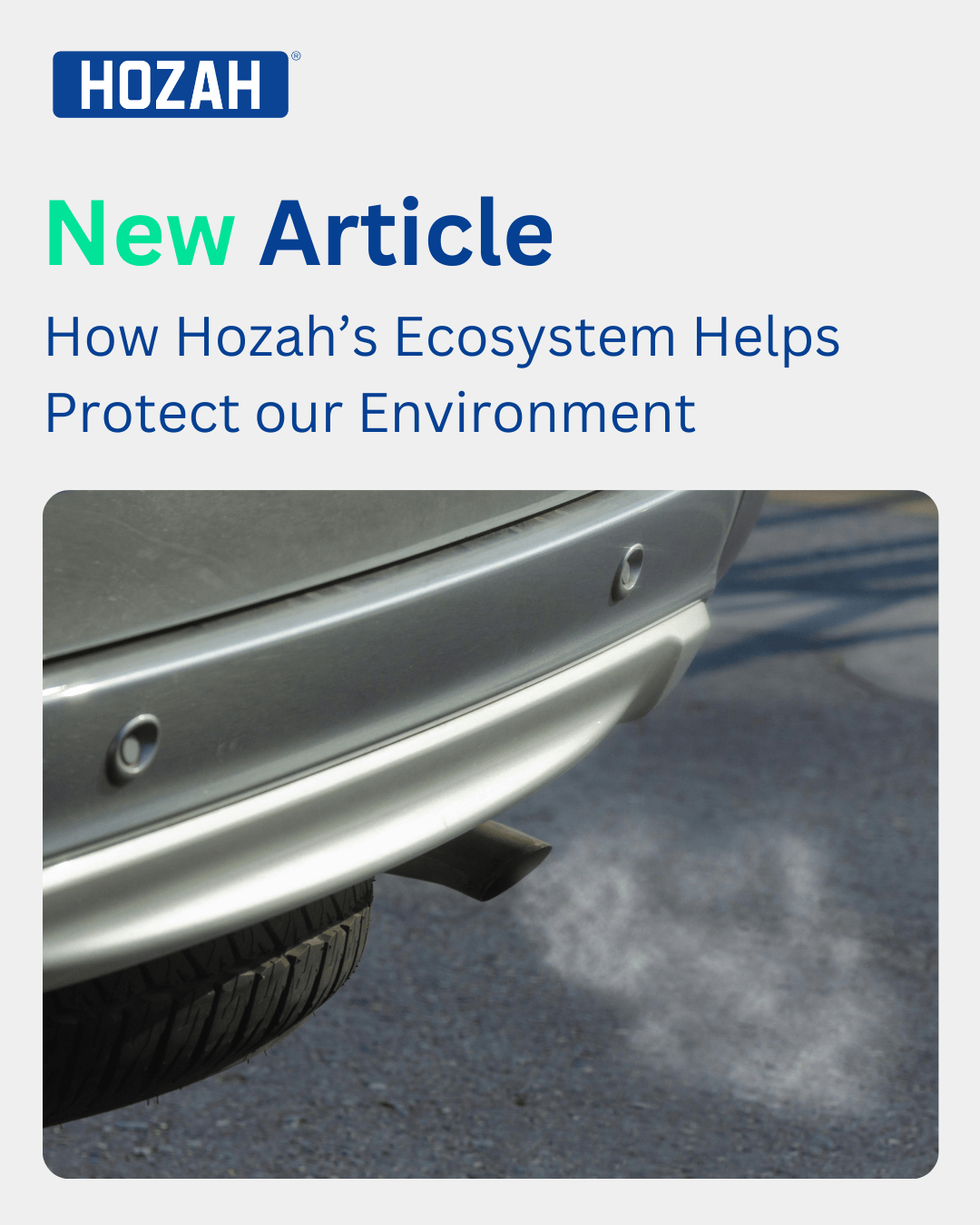 How Hozah’s Ecosystem Helps Protect the Environment - Hozah